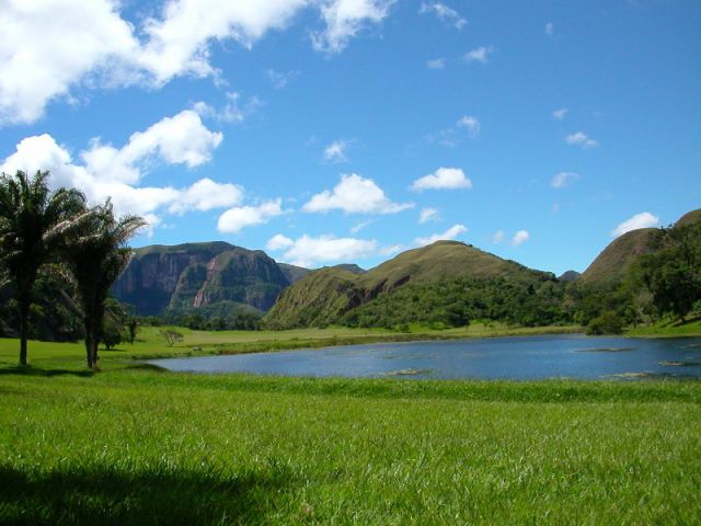 Llanos Venezuela | Info & Photos | Viventura